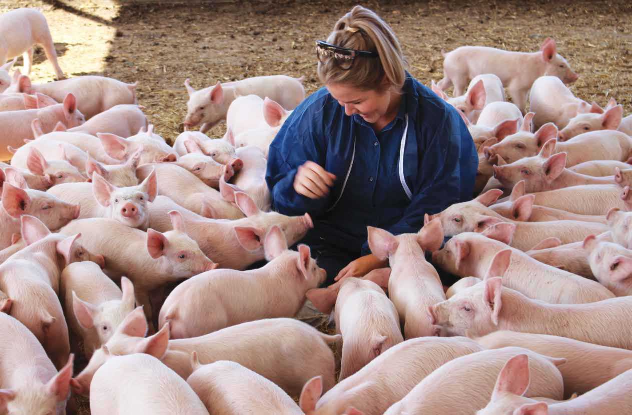 Our Farming Experience – Three Aussie Farmers